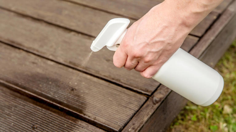 This simple garden spray repels mosquitoes and stops them breeding near ...
