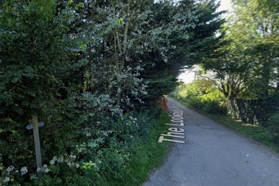 Plan for new glamping site with yurts and 'healing cabins' in ...