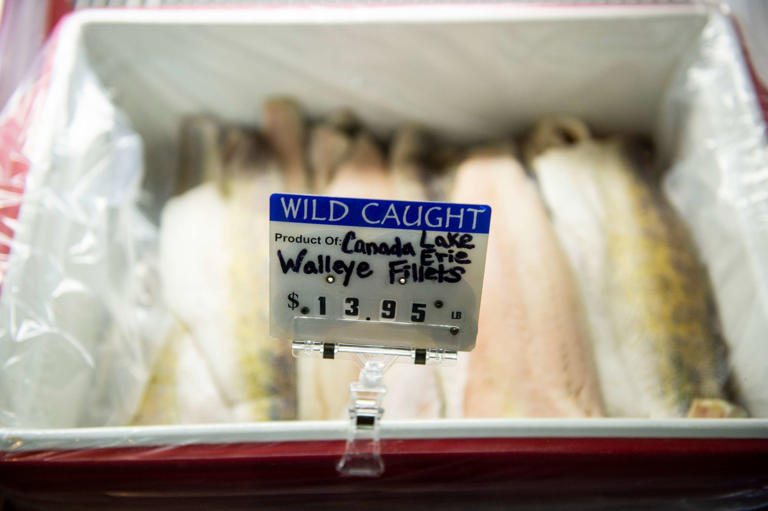 Lawmakers weigh commercial fishing lifeline as whitefish decline