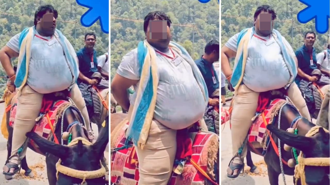 'This is cruelty, not devotion': Kedarnath video of mule carrying heavy ...