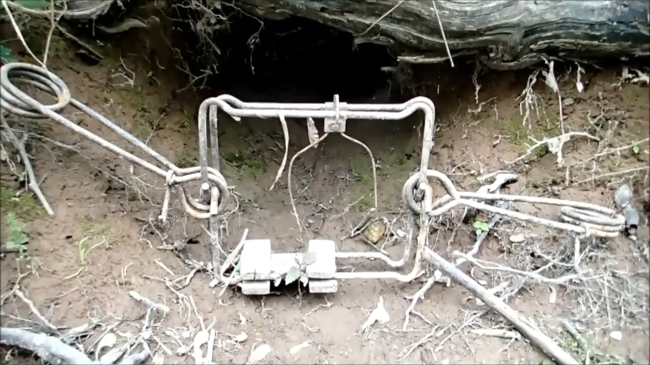A hidden riverbank trap had not been sprung - then he found another ...