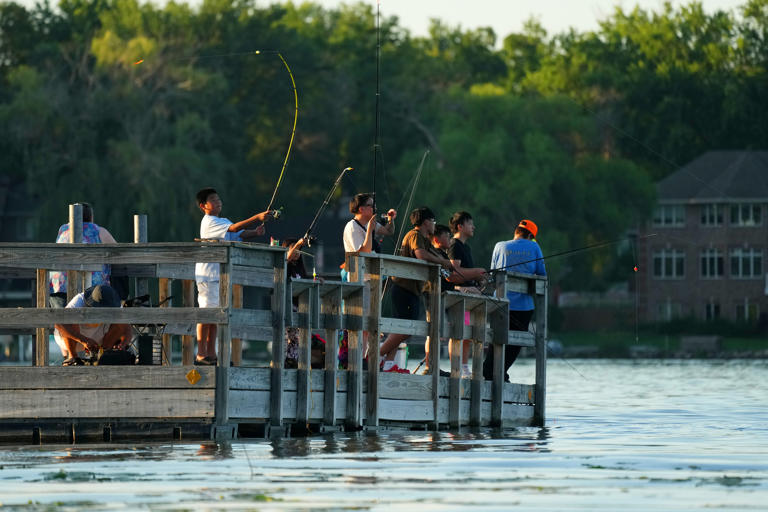 Minnesota DNR’s new electronic license system for hunters and anglers ...