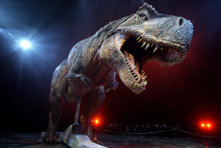 Scientists may have finally cracked the mystery of why T rex had such ...