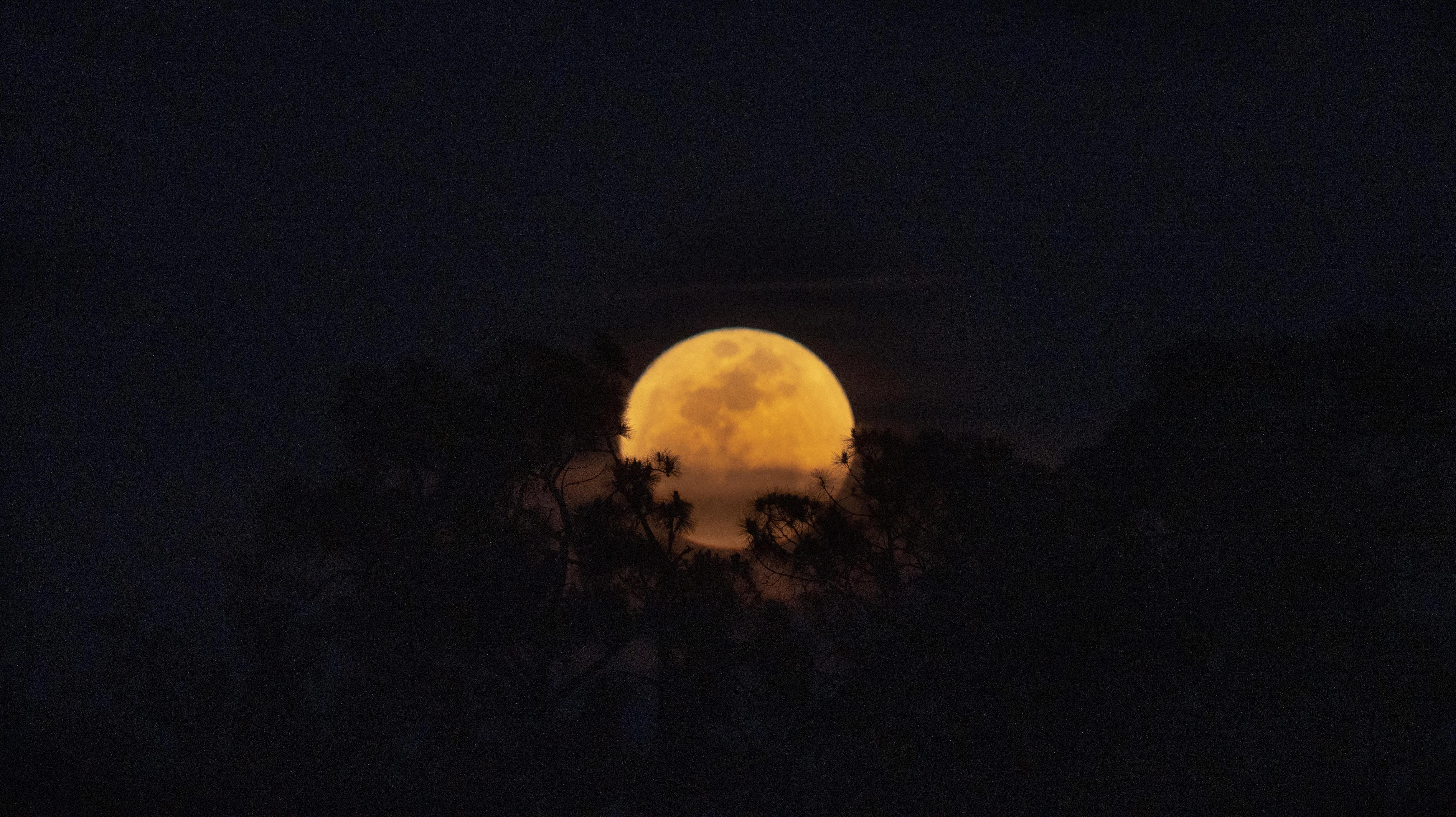 We are about to get a rare second full moon this month