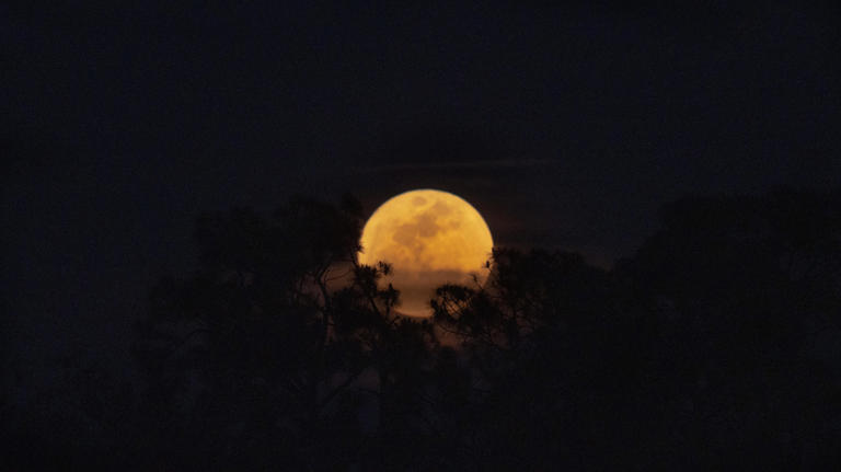 We are about to get a rare second full moon this month