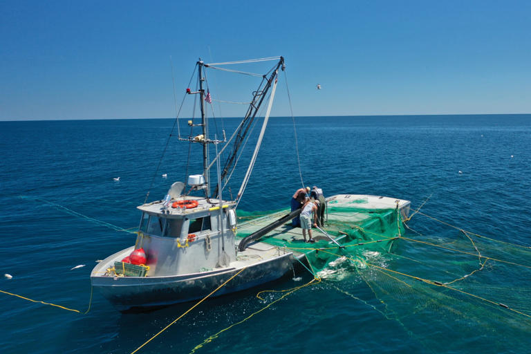 Lawmakers weigh commercial fishing lifeline as whitefish decline