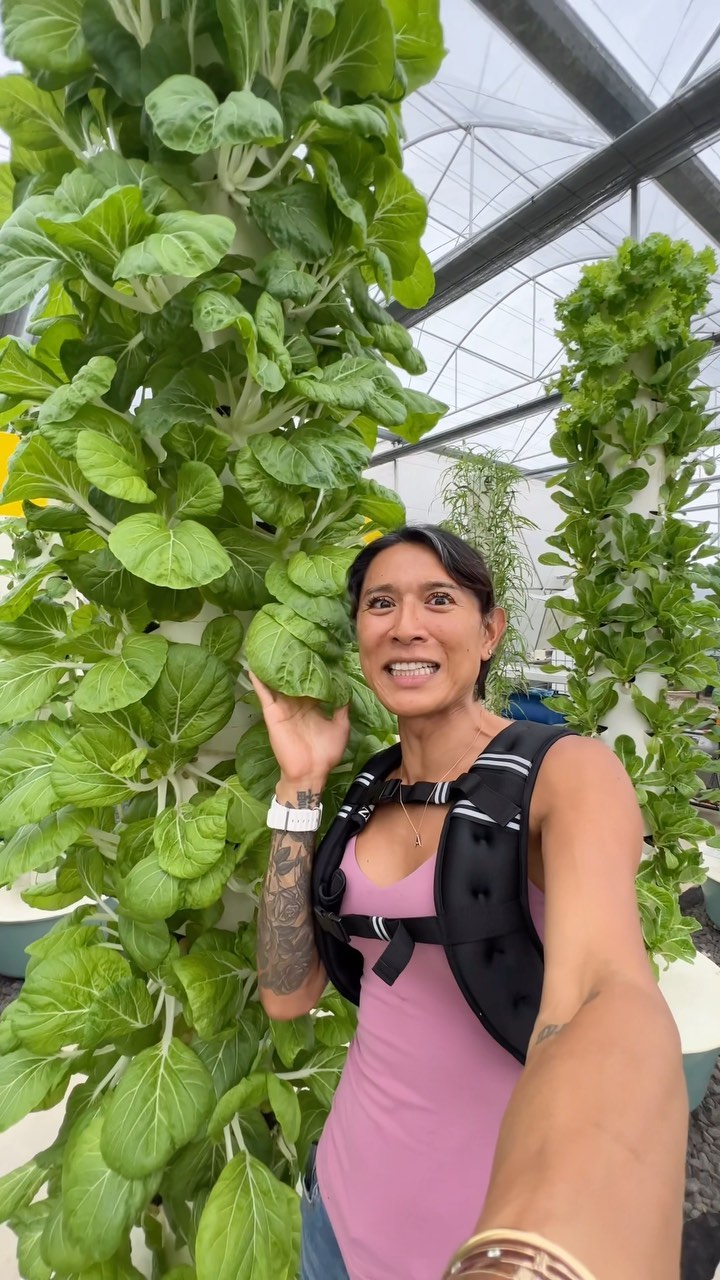 Quick update from KING Tower Farm