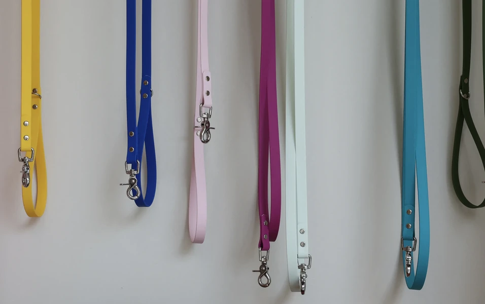 Find the perfect leash for happy dog walks