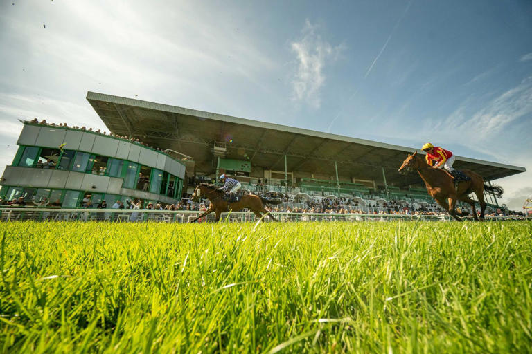 Brighton Racecourse ready to re-open on Friday following track recovery
