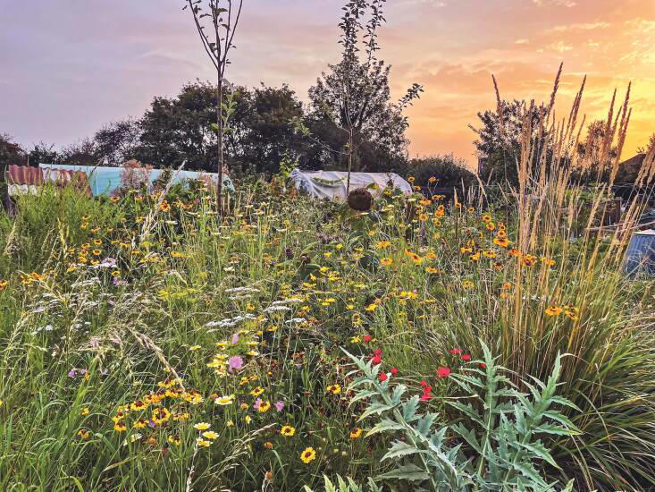 The secret edible garden: How to integrate fruits and veggies into your ...