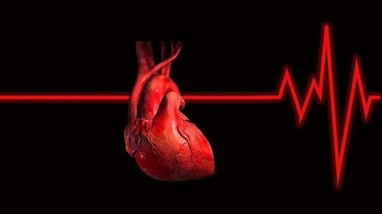 Feeling dizzy with a slow pulse? Cardiologist explains what it could ...