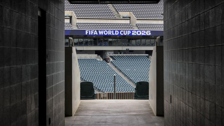 This year’s World Cup is testing the public health playbook