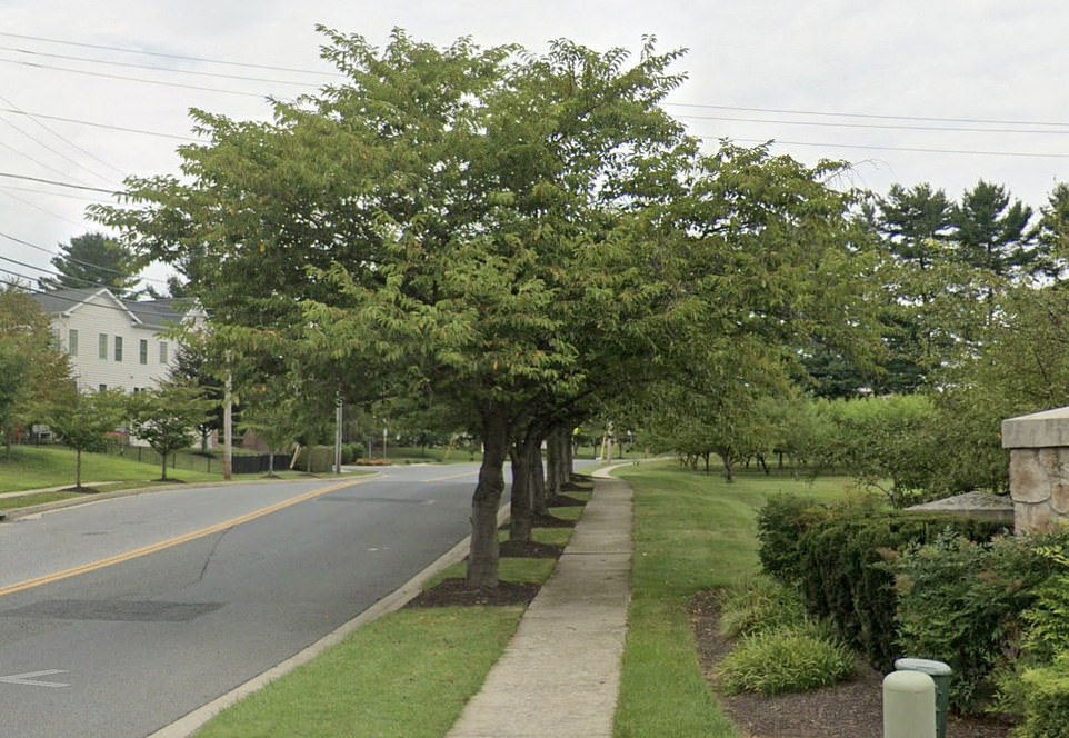 Maryland suburb outraged after cherry blossom trees cut down