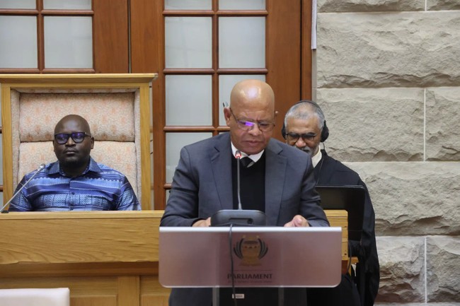 Land reform and rural development: A budget for South Africa's bold ...
