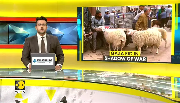 Gaza Eid: Airstrikes & hunger shadow Gaza's Eid al-Adha