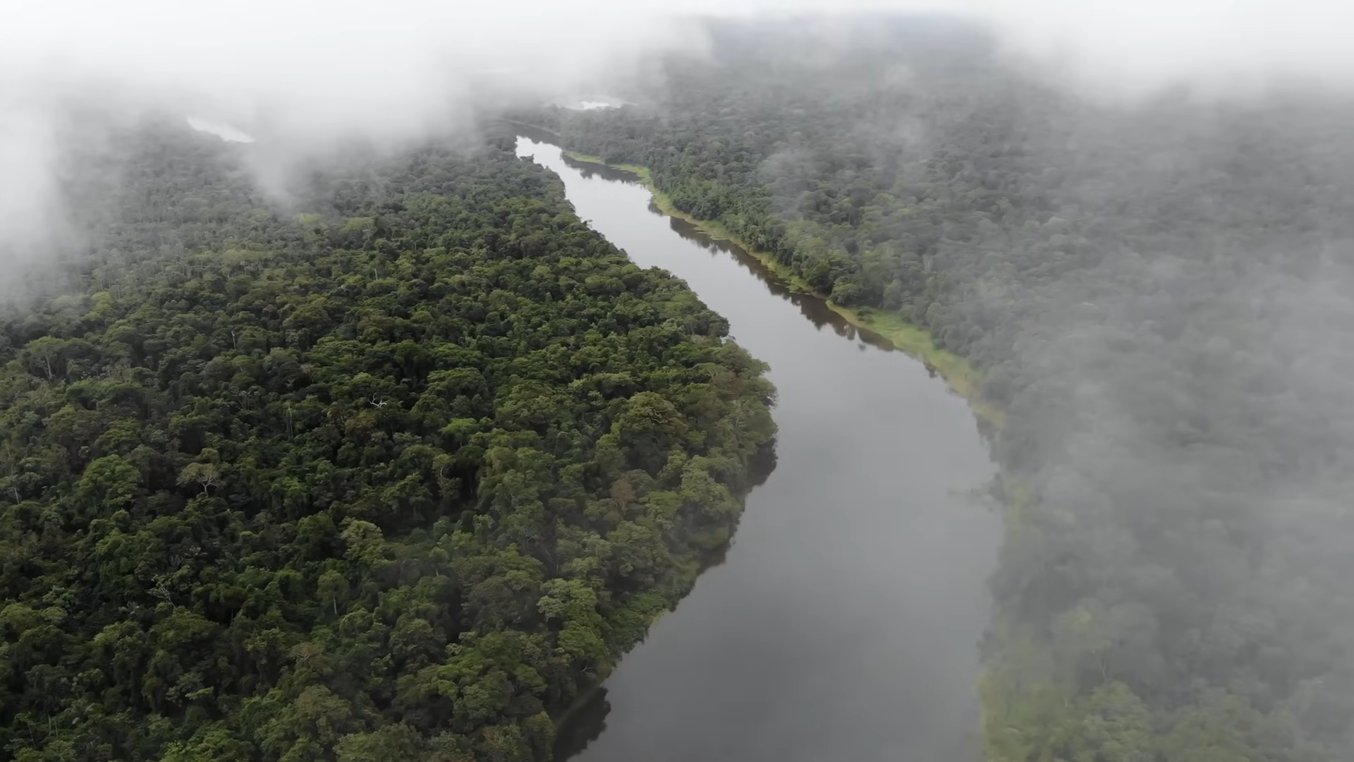 Watch the world’s deadliest rainforest swallow humans whole - “No escape”