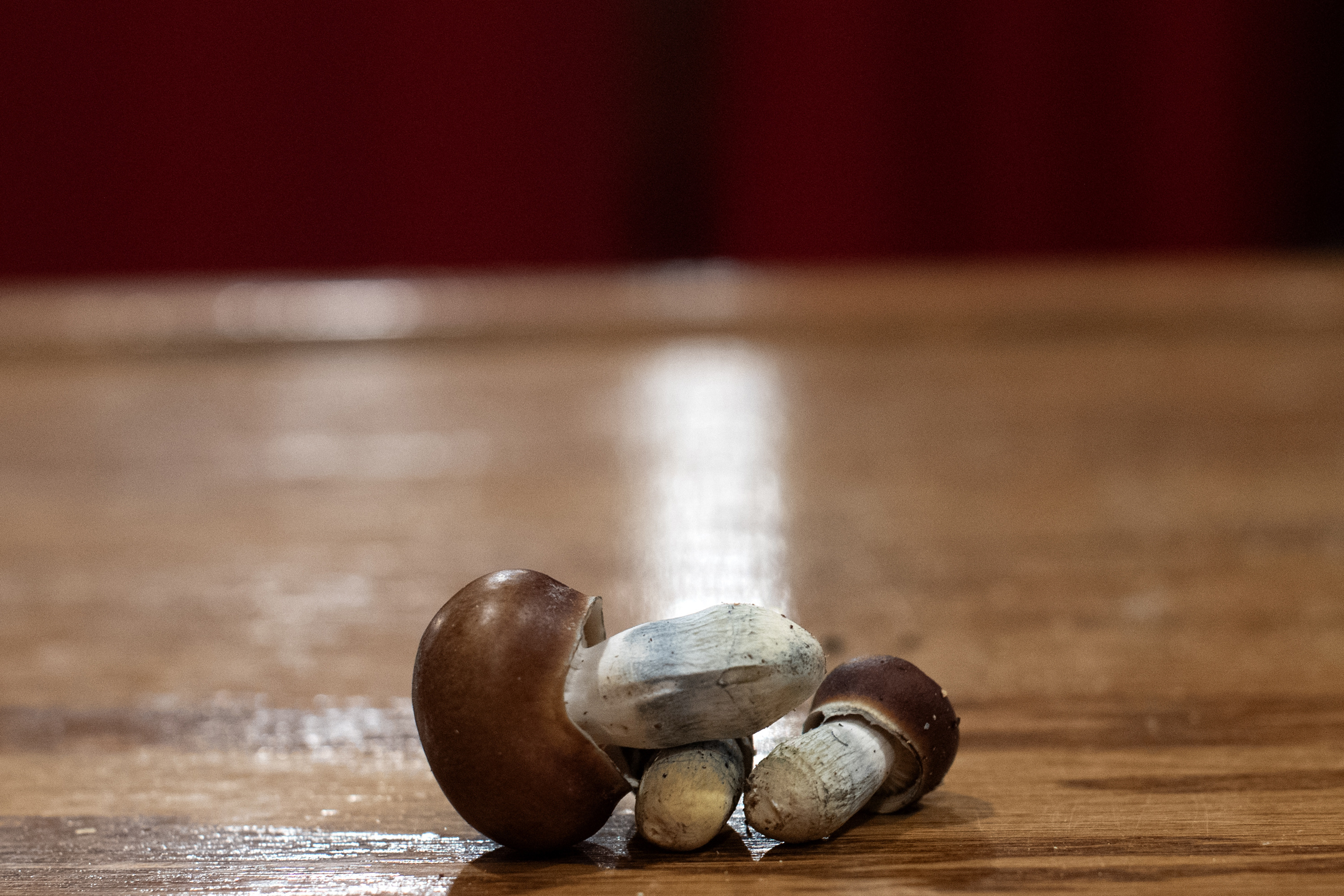 Eased rule on psychedelics could aid veterans suffering anxiety, depression