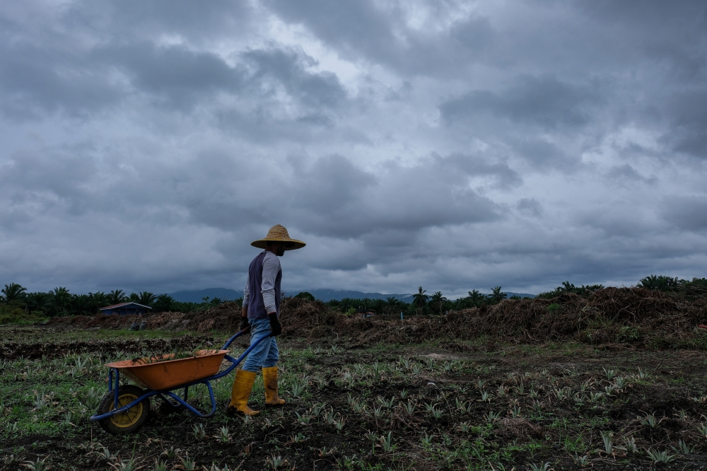 Heavy rain and strong winds alert: Sabah, Sarawak brace for severe ...