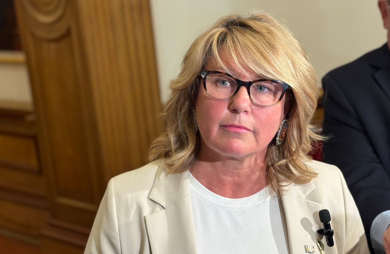 No promises from minister after report on at-risk youth that critics ...