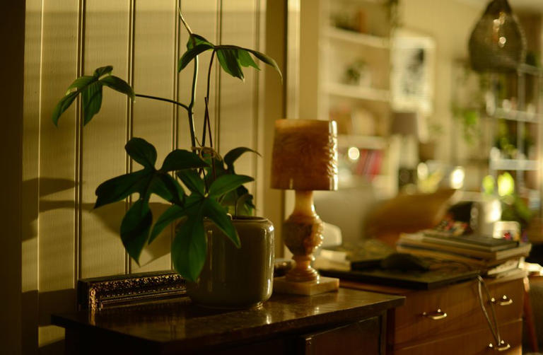 How to bring summer light into your home through interior design