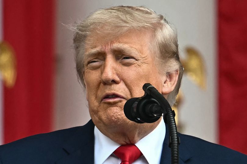 CNN halted for breaking news as viewers say Trump can't even cheat ...