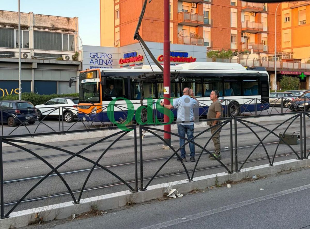 Palermo, camion fa manovra e trancia cavi: linea del tram interrotte e ...