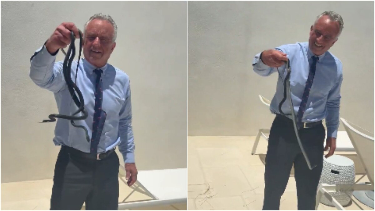 RFK Jr proudly handles snakes with bare hands, ignores wife's warnings