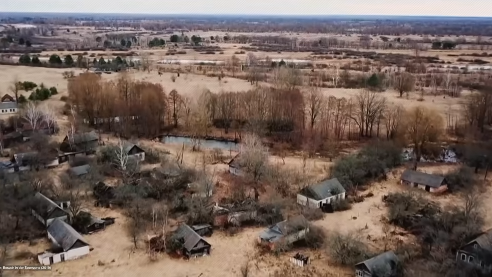 72 Stunden nach Tschernobyl tauchen plötzlich Tiere auf, die niemand ...