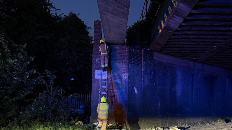 Driver reported after lorry hits 'most bashed' bridge