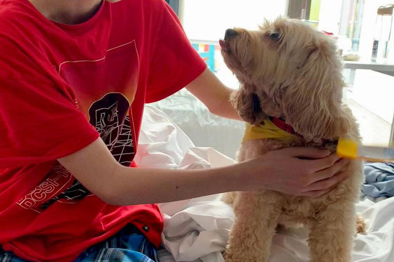 Shrewsbury schoolboy's morning sickness mistaken for anxiety was ...