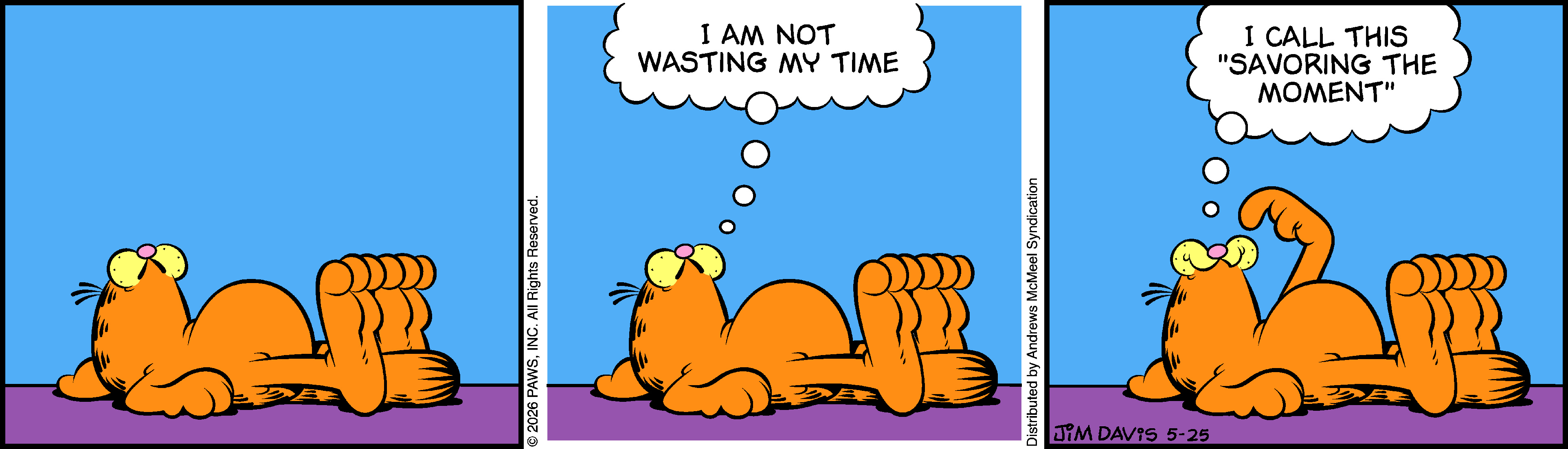 Garfield by Jim Davis