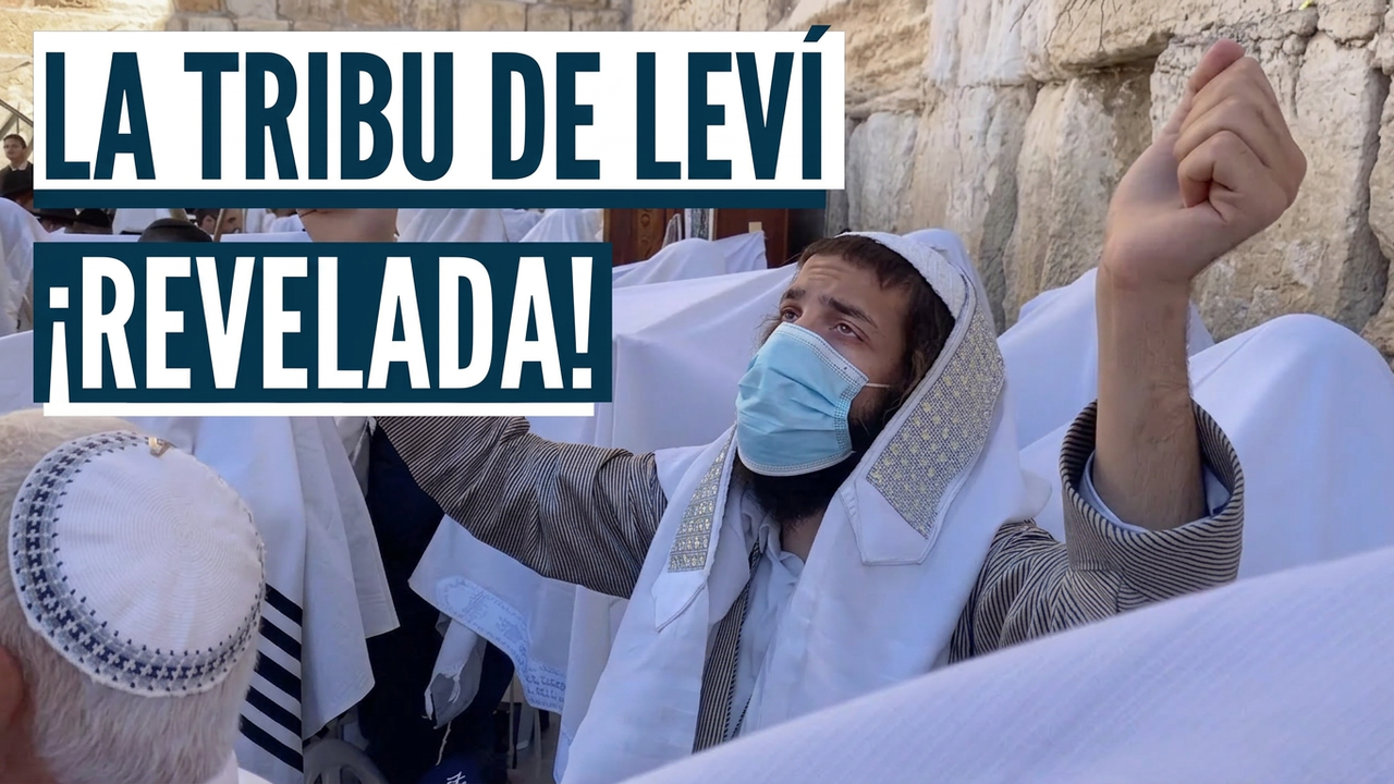 ¡Descubrimos la tribu de Leví! ¿Quiénes son las 12 tribus de Israel?