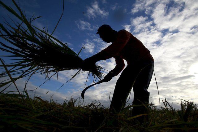 NWRB to suspend water allocation for irrigation in Bulacan, Pampanga, Rizal