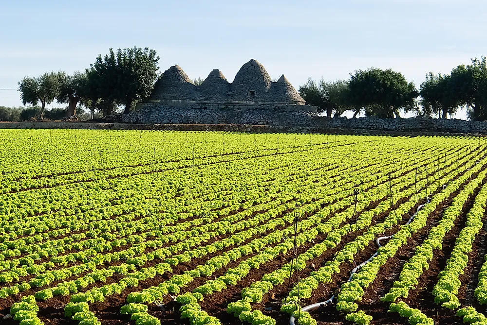 EIB and BNP Paribas unlock €200 mn to expand agricultural and ...