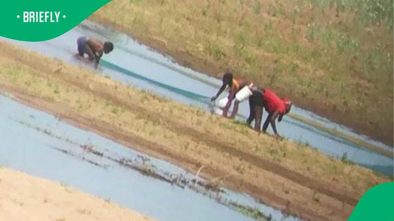 "What has been done to stop this": Fishing at Kruger Park sparks ...