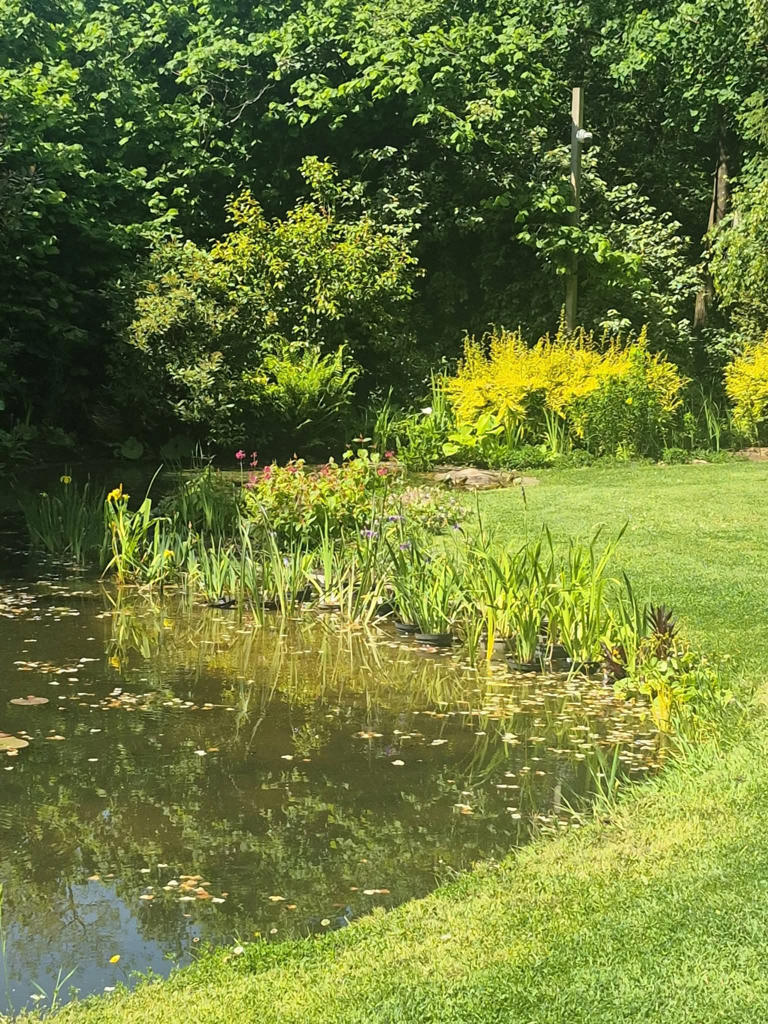Visit to Denmans Gardens for Horsham care home residents