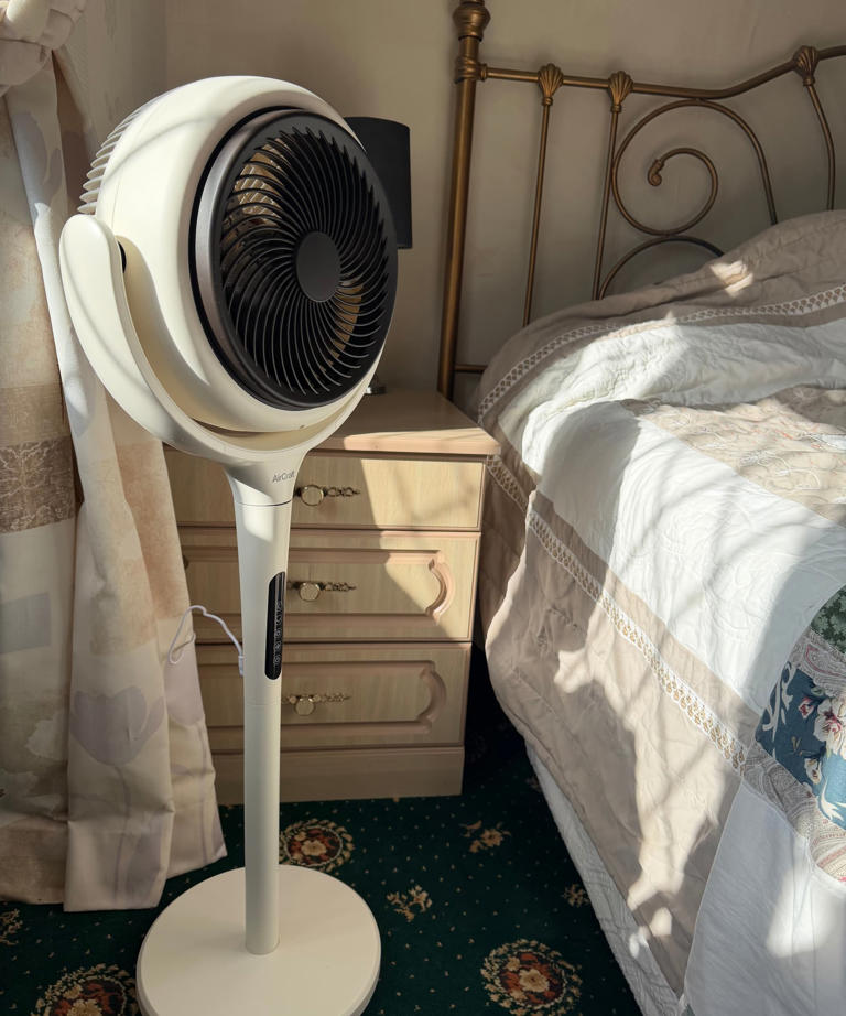 Why I ditched my fan for an air circulator in a heatwave (and won't ...