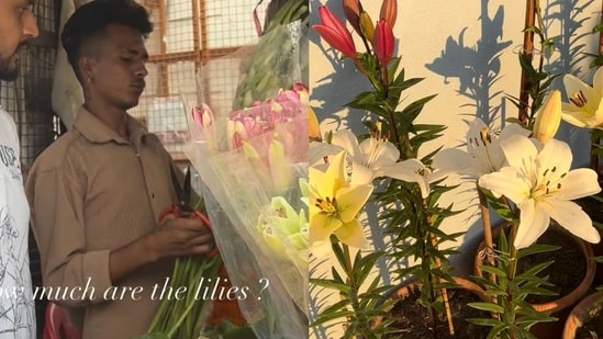 Woman grows lilies at home after florist says 'aap khud uga lo', video ...