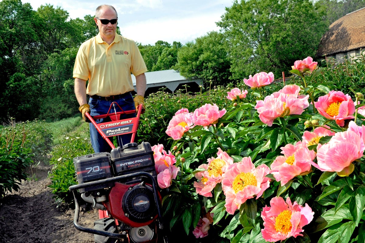 Five common gardening myths debunked that could be ruining your plants