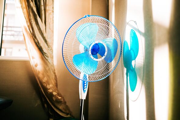 Rooms will keep cool without a fan in hot weather with 'green' item on ...