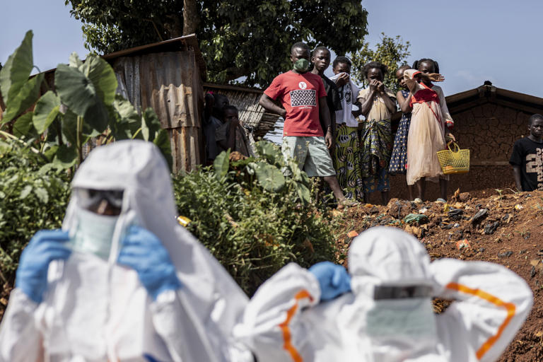 Contagion of conspiracy theories makes Ebola epidemic harder to contain