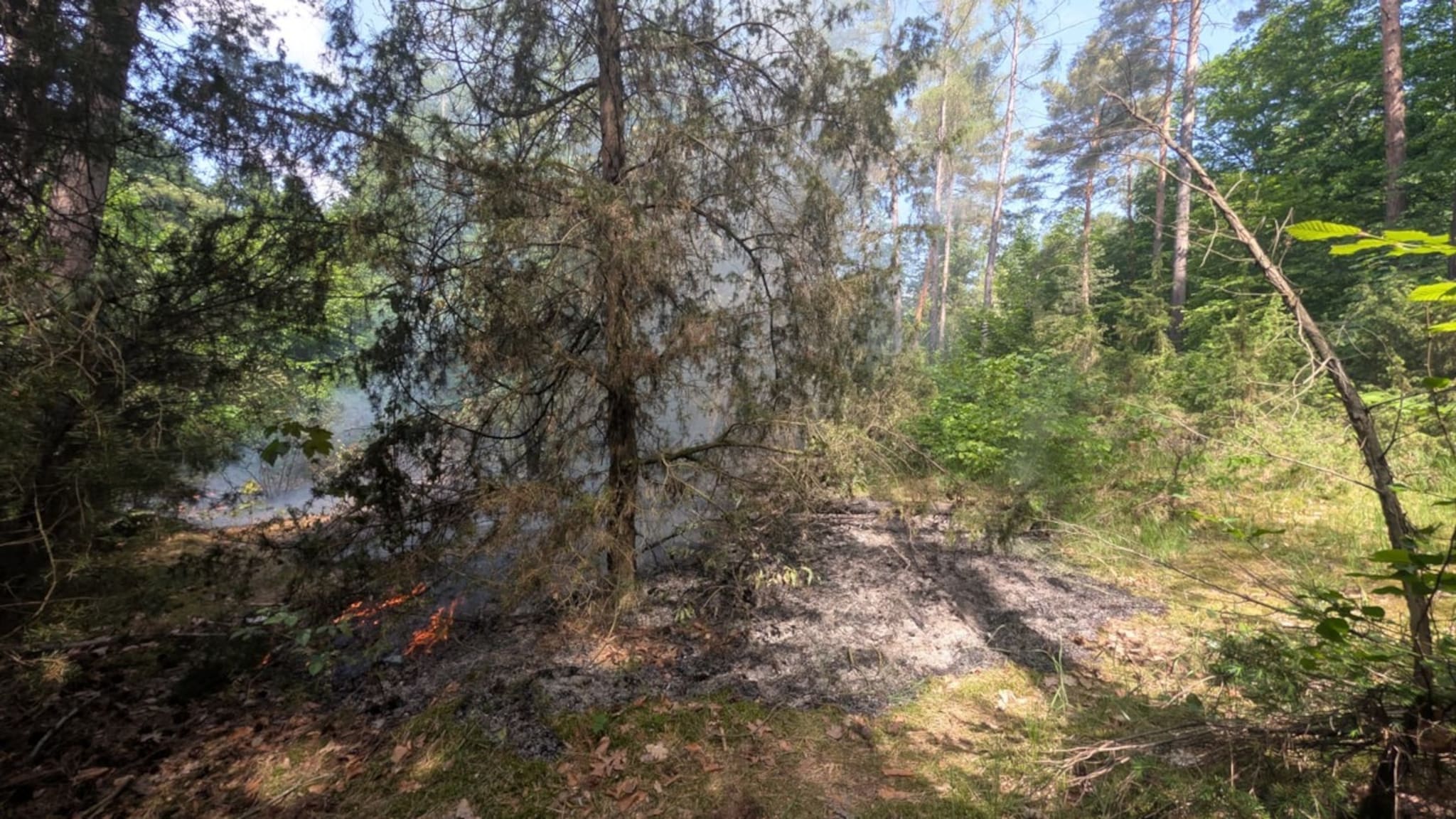 Feuerwehr löscht Waldbrand in der Dresdner Heide