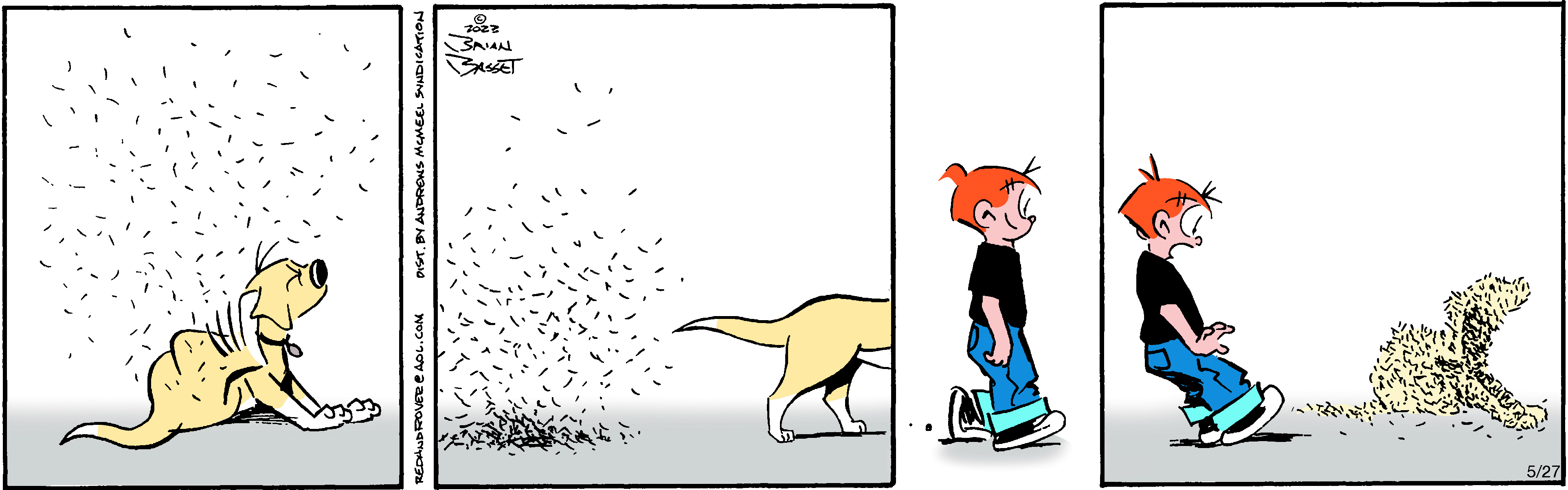 Red and Rover by Brian Basset