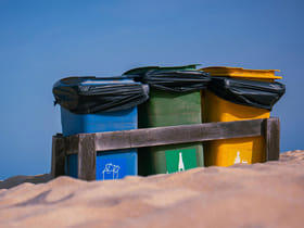 The bin decides: Why waste habits begin at home