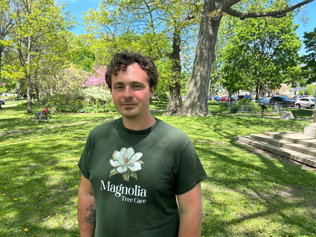 For some residents across Toronto, this tree's fruit is anything but sweet