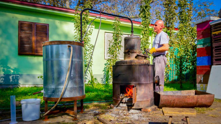 High liquor taxes and a home distillation ban guarantee a thriving ...