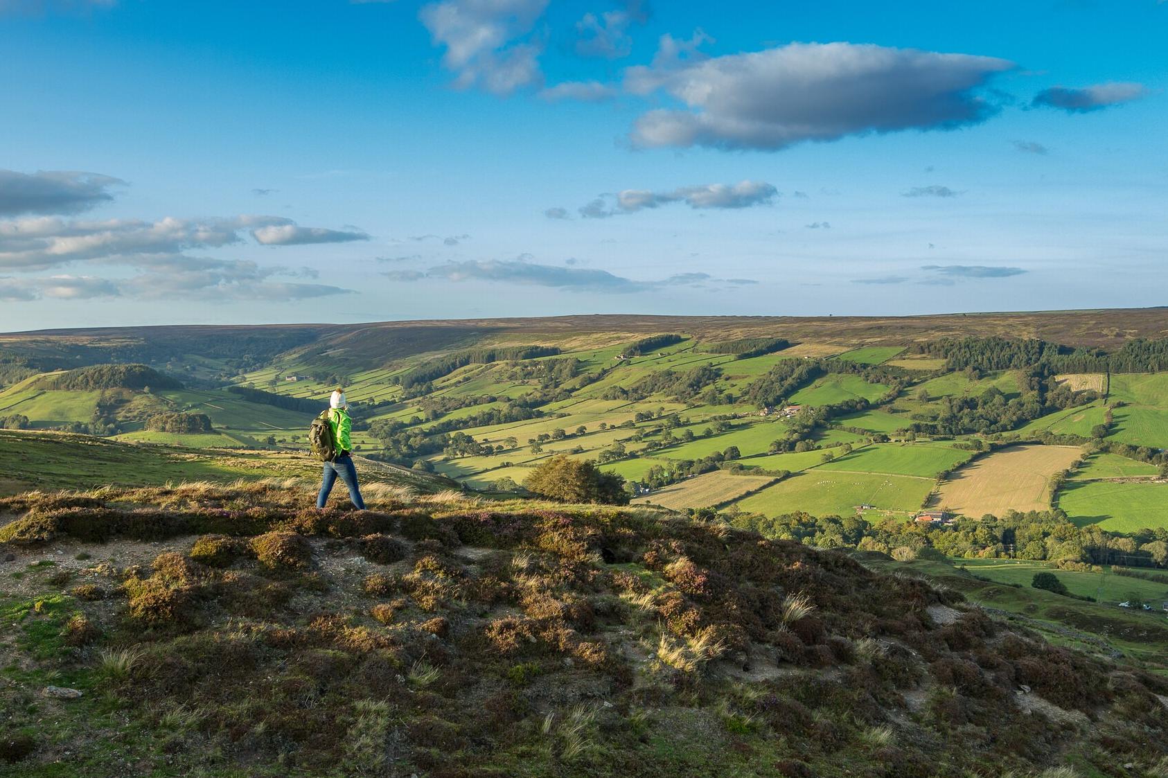 North York Moors National Park Authority seeks new Secretary of State ...