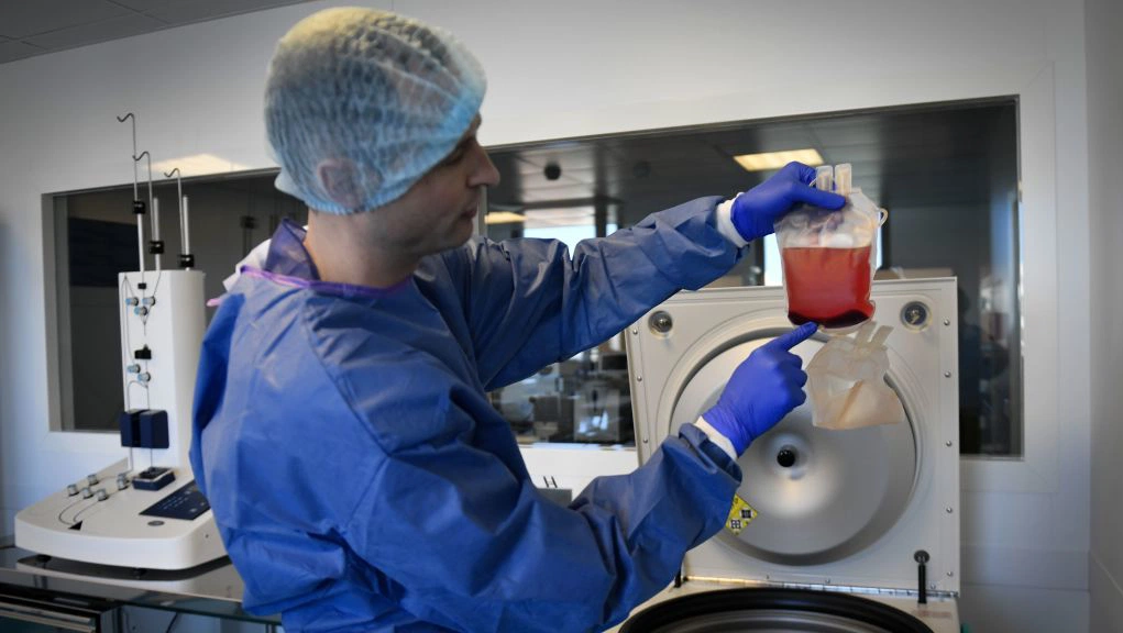 Scientists find genetic 'off switch' to boost CAR T cells