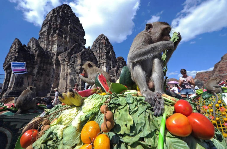 Thailand’s monkey festivals and 5 strange traditions that amaze ...