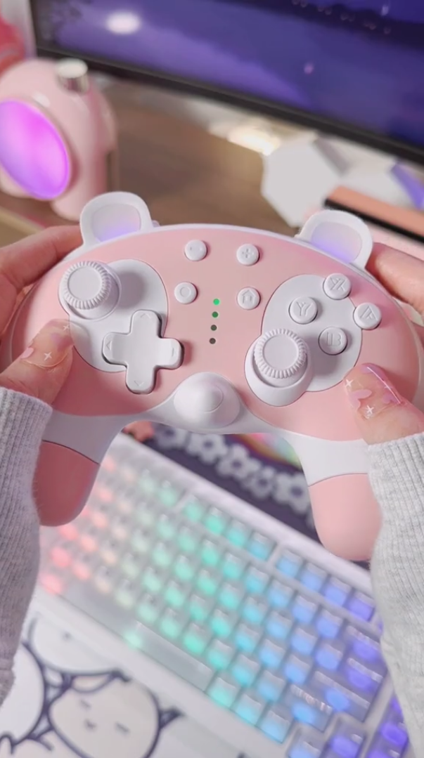 Cute aesthetics with the Power Tom Nook controller